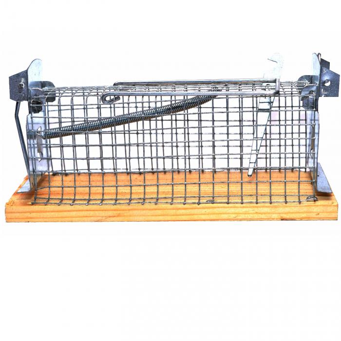 Swissinno humánus egérfogó csapda 15×6×6 cm – agrowebshop (3292 ...